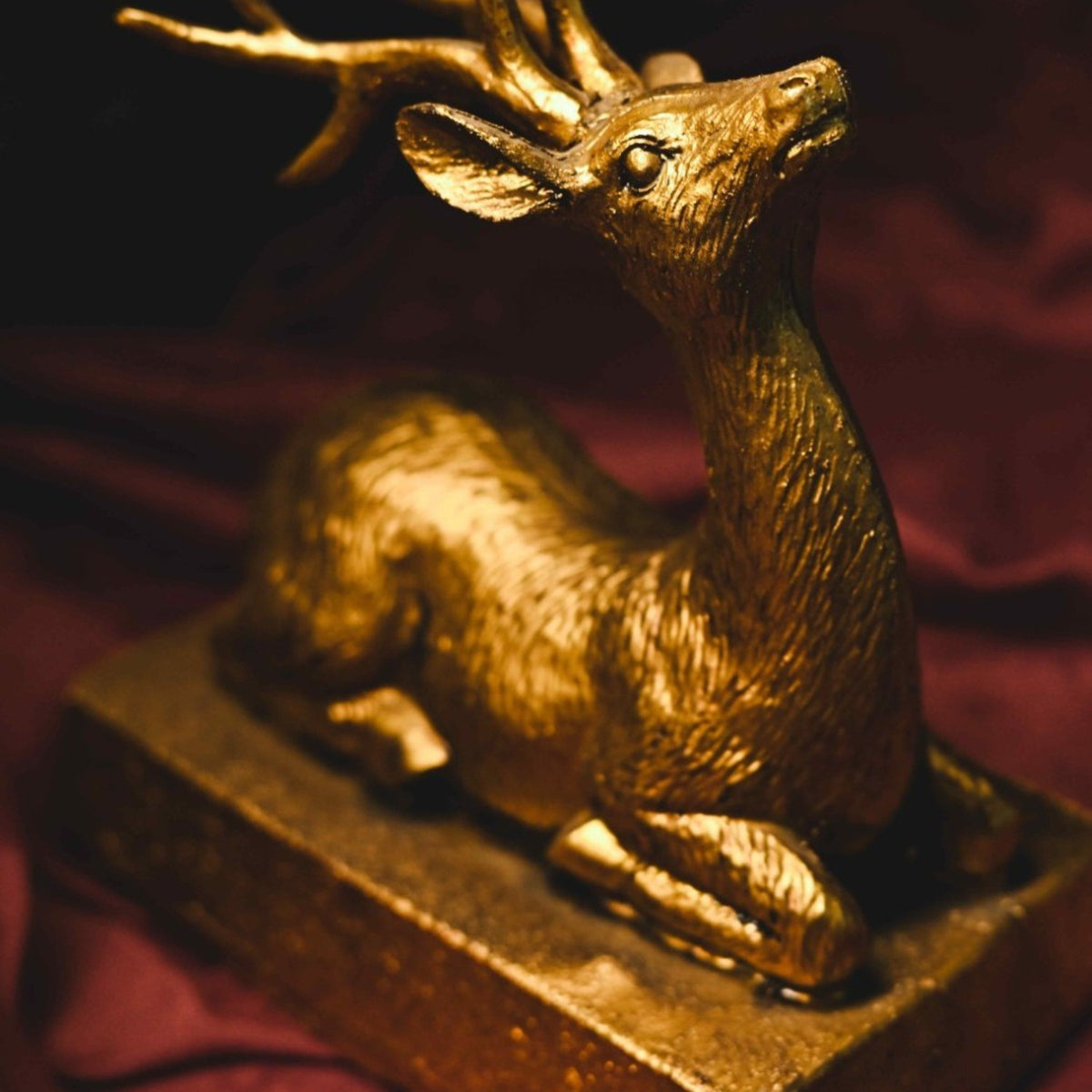 Imperial Golden Deer – Piharwa India